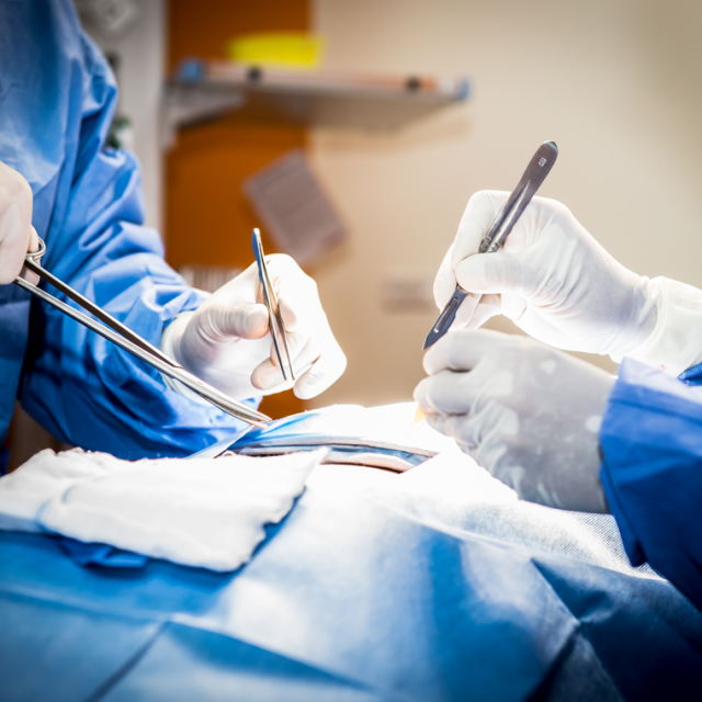 Products - Eurosurgical